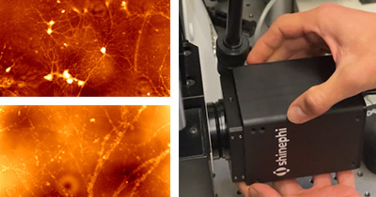 A Sharper Focus for Life Sciences Discoveries